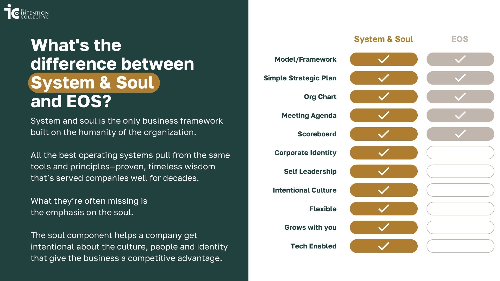 EOS vs S2 - The Intention Collective